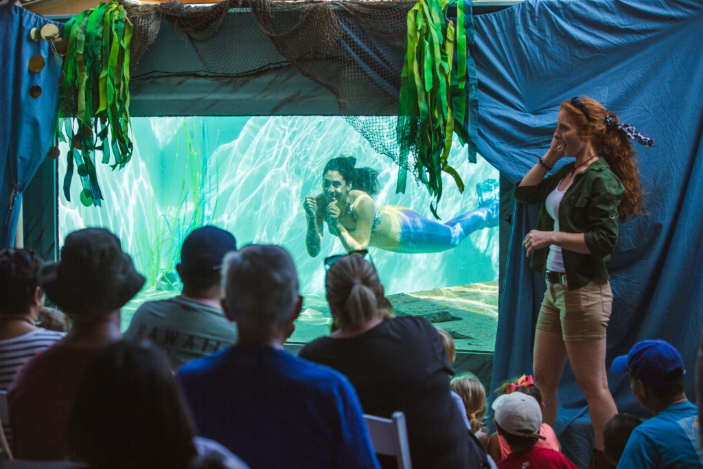 Mermaid Swim Show - Ocean Institute