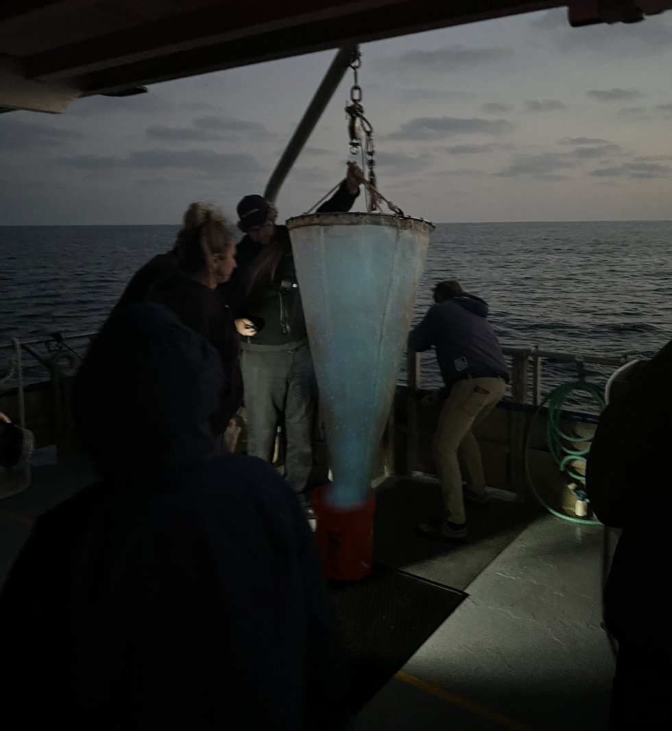 Bioluminescence Night Cruise - Ocean Institute