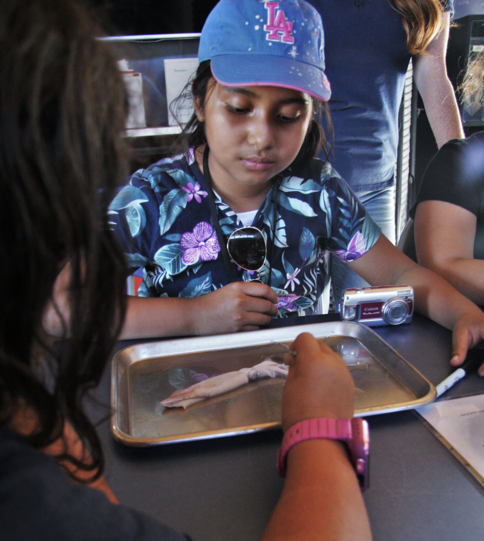 Summer Camp - Ocean Institute
