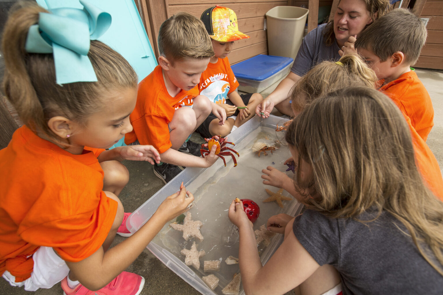 Summer Camp - Ocean Institute