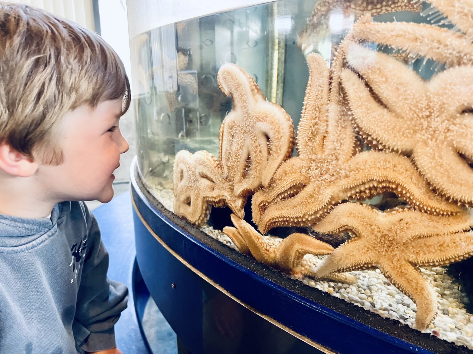 Our Values - Ocean Institute