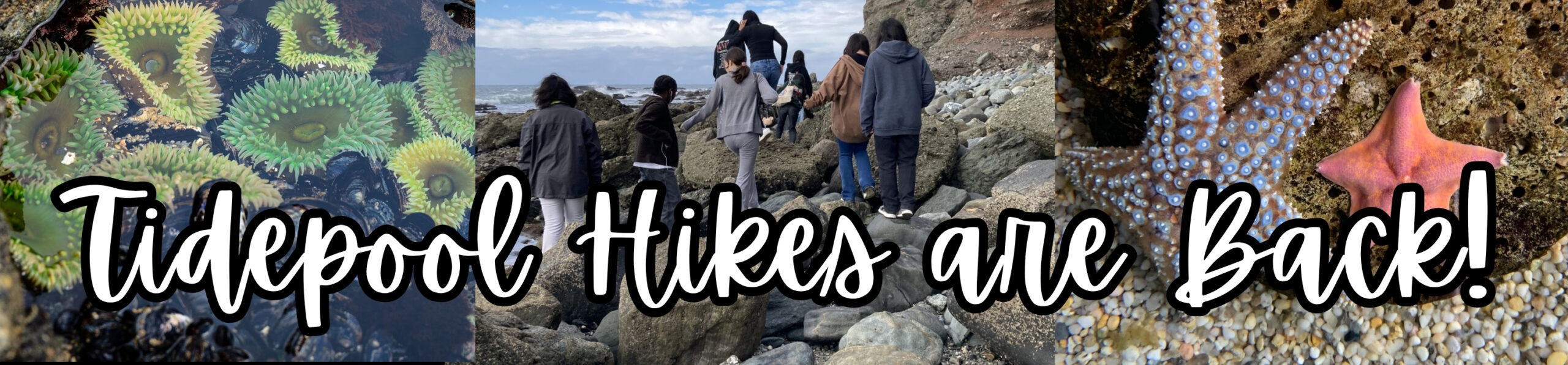 Home - Ocean Institute