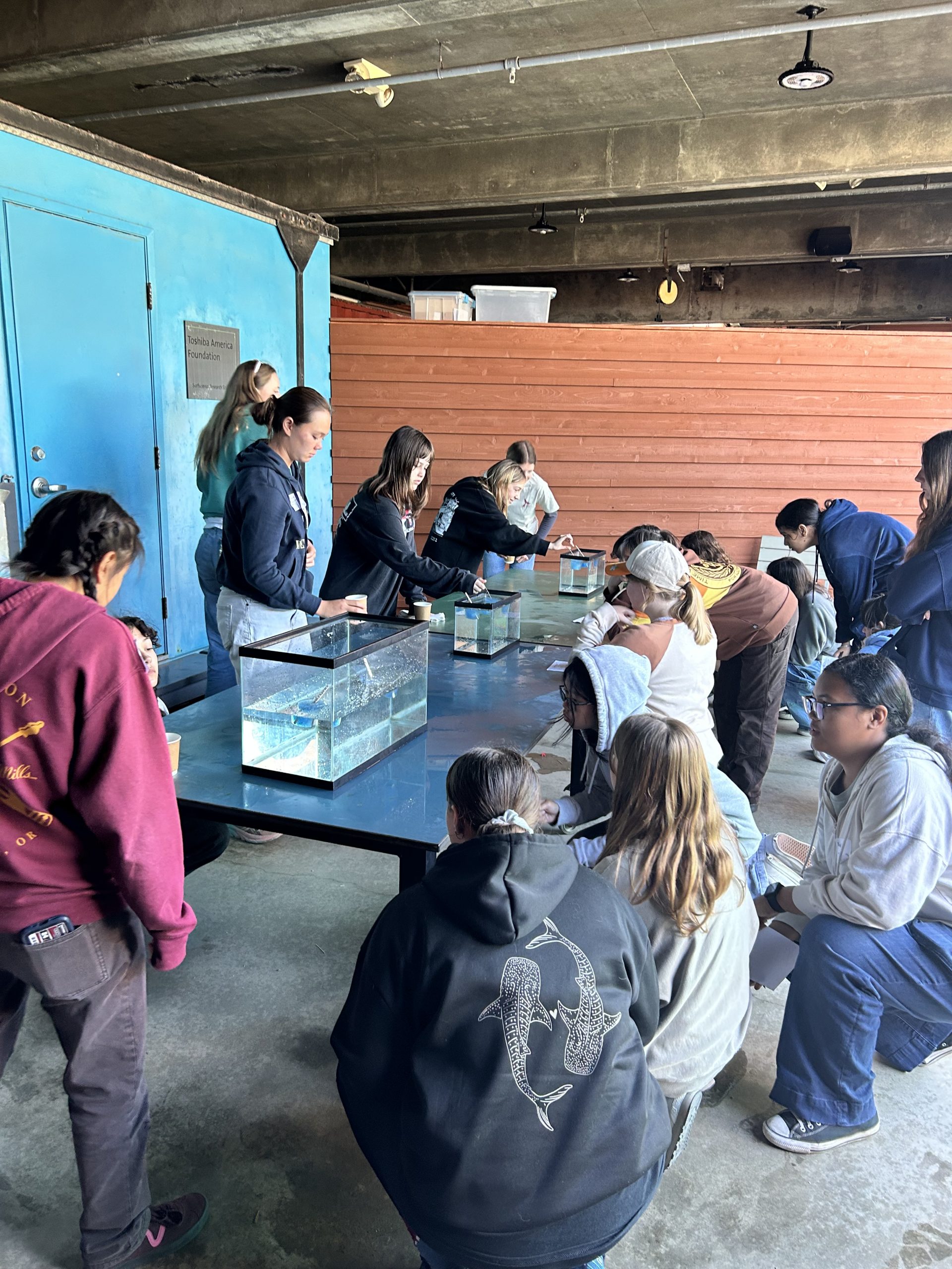 Girls in Ocean Science Field Day - Ocean Institute