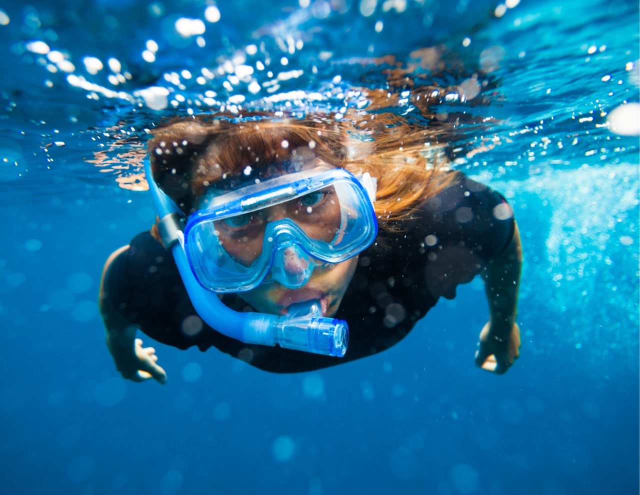 Guided Snorkel Tour - Ocean Institute